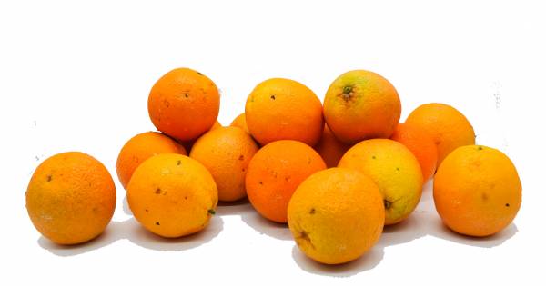 Buy Oranges on Clearance - Delivery in Singapore
