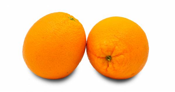Buy Jumbo Orange Online - Delivery in Singapore